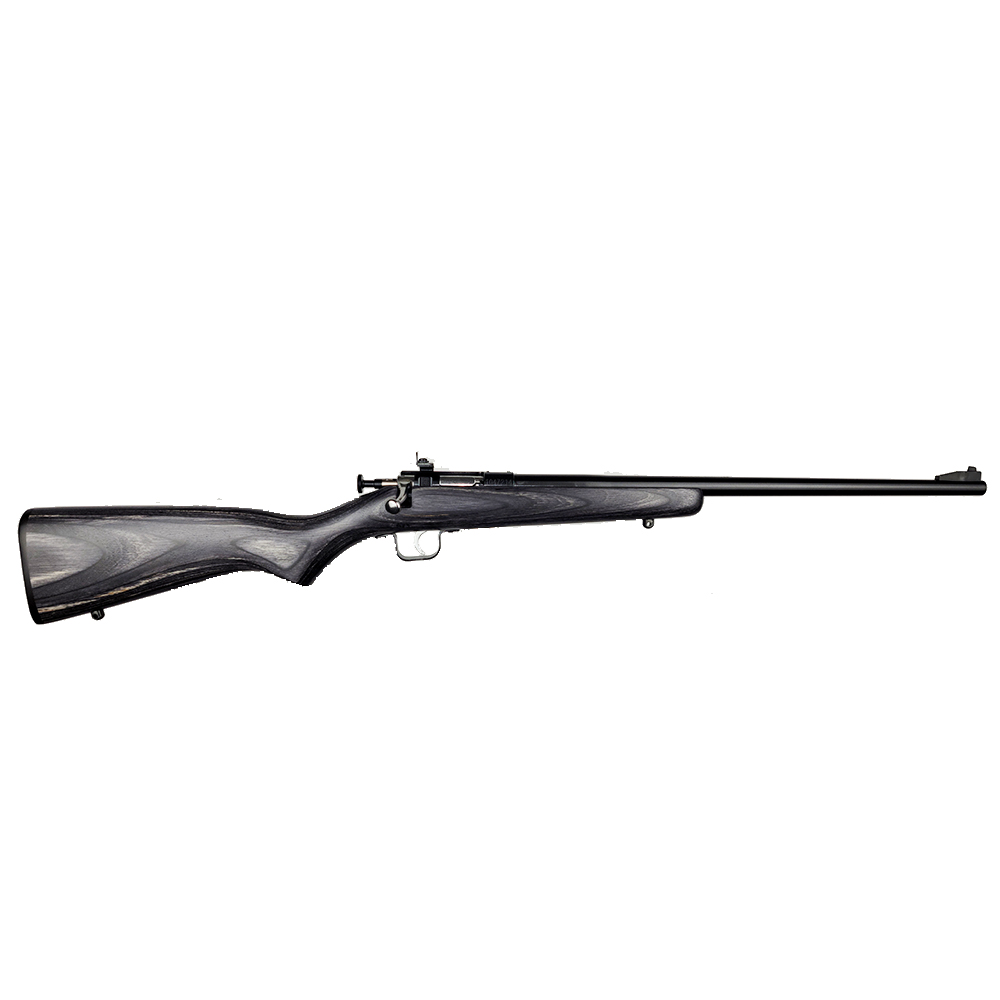 KEYSTONE SPORTING ARMS CRICKETT 22LR BL/BLACK LAM - Firearms Direct Club