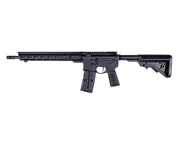 FRANKLIN ARMORY F17-X 17WSM 16" BLK 10+1 TB - Firearms Direct Club